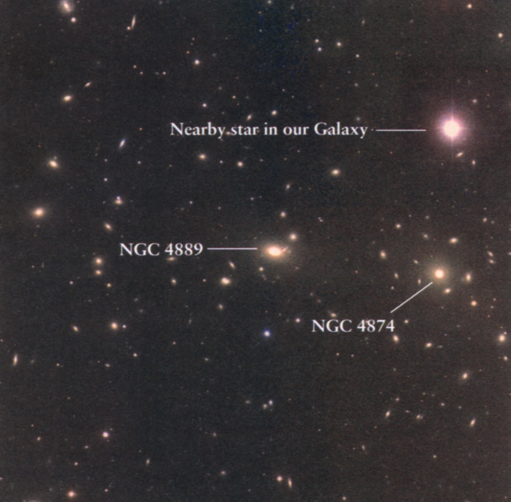 [The Coma cluster]